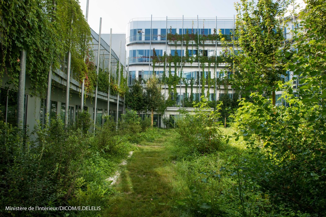 » IMMEUBLE DE BUREAUX – CENTRE BUS « LE GARANCE » • 75020 PARIS ...
